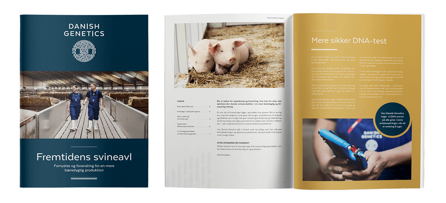 Guide: Fremtidens svineavl - Danish Pig Genetics